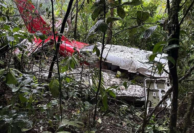 Sobreviviente de accidente aéreo recibe atención emocional y ...