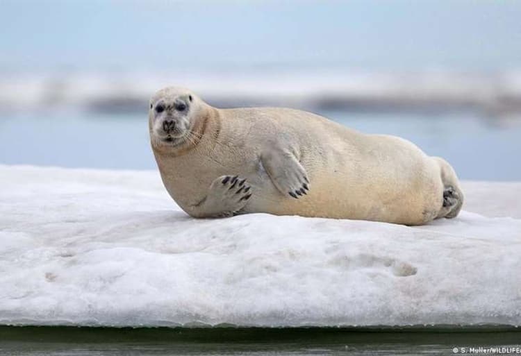 Costa Rica, teletica, teletica en vivo, teletica.com en vivo, canal 7 ...