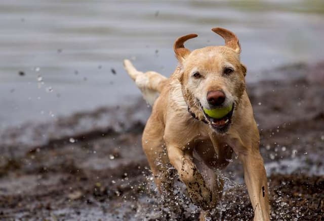 Jugar con lluvia y barro: prácticas "inofensivas" que pueden afectar a ...